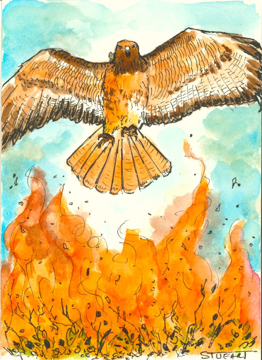 9. BattleHawk (Autumn Woods) – Bear Witness